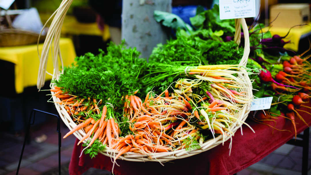 New England's 21st Century Culinary Revolution • Essentially America